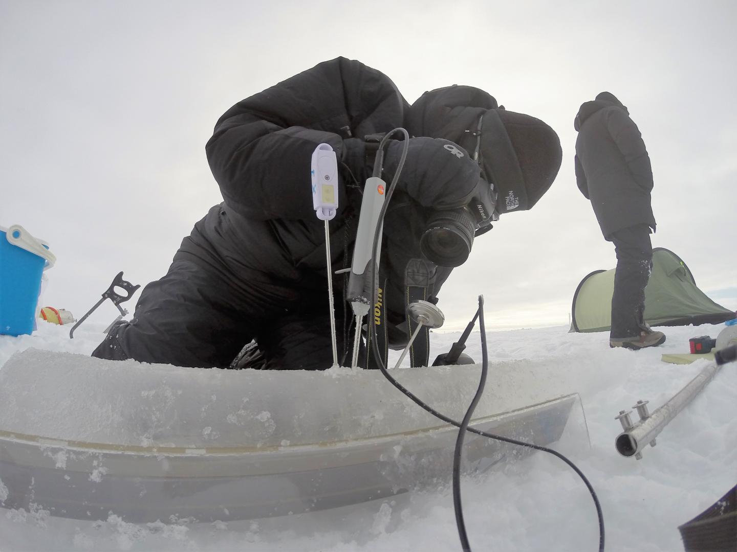 Ice Core [IMAGE] | EurekAlert! Science News Releases