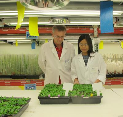 Hnerik Scheller, April Liwanag [IMAGE] | EurekAlert! Science News Releases