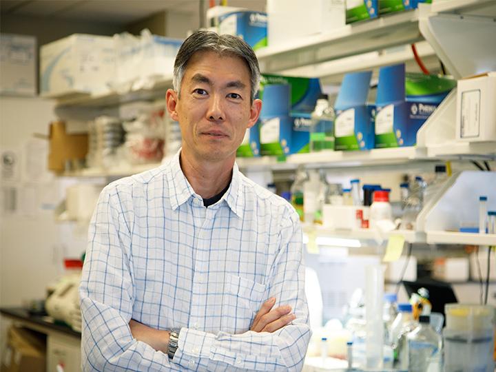 Michihisa Umetani, University [IMAGE] | EurekAlert! Science News Releases