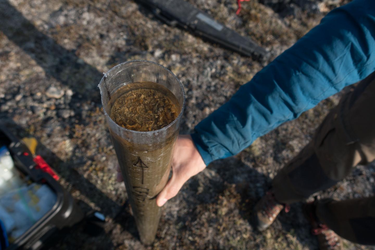 Sediment core closeup [IMAGE] | EurekAlert! Science News Releases