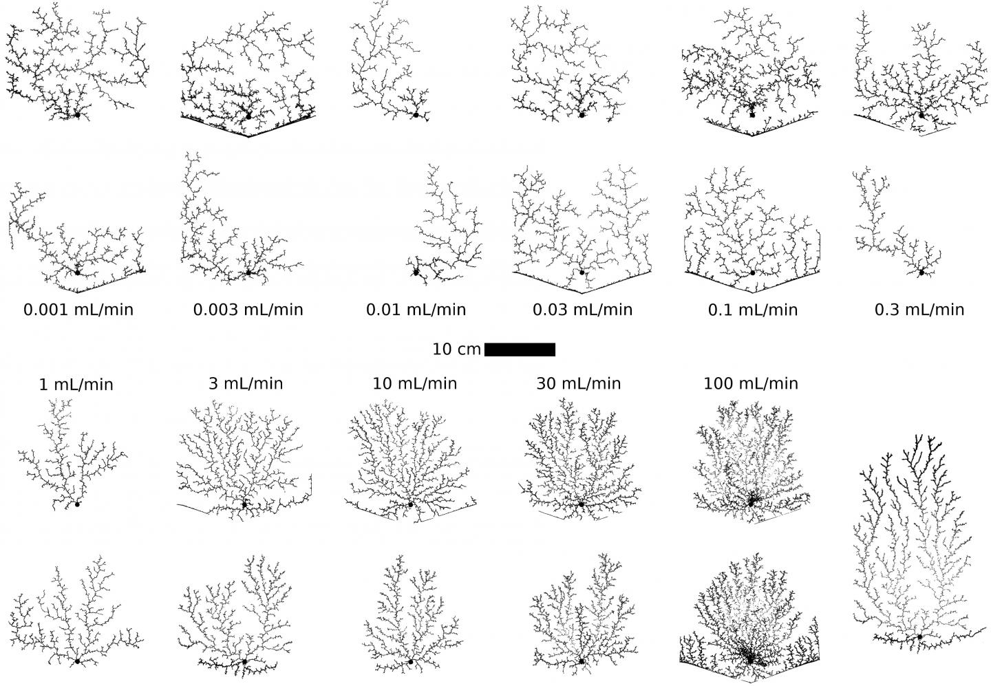 Fracture Patterns [IMAGE] | EurekAlert! Science News Releases
