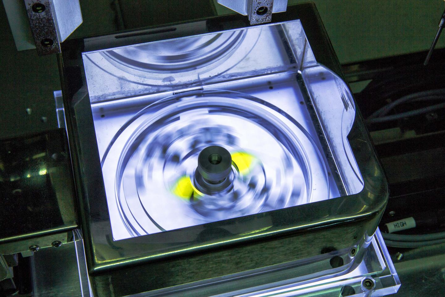 Urine-based Biomarkers for Ear [IMAGE] | EurekAlert! Science News Releases