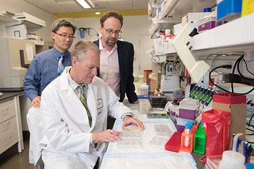 Kenneth Knox and Frederic Zenh [IMAGE] | EurekAlert! Science News Releases