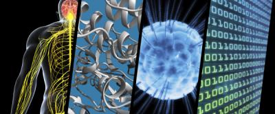 Centre for Therapeutic Target [IMAGE] | EurekAlert! Science News Releases