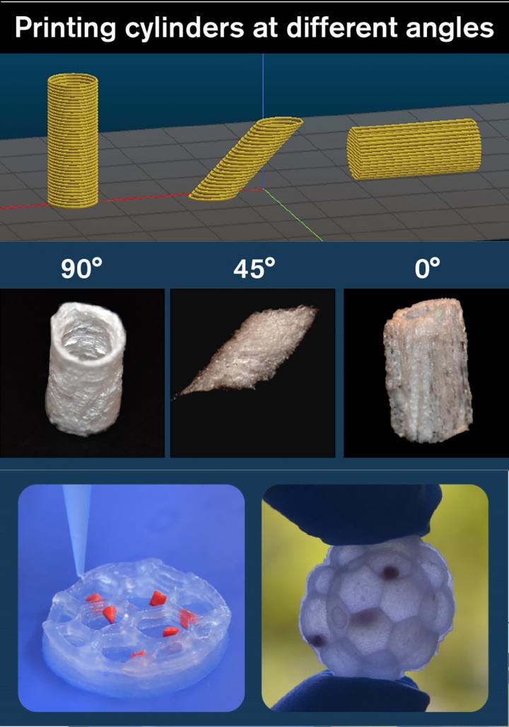 Printing Cylinders at Differen [IMAGE] | EurekAlert! Science News Releases
