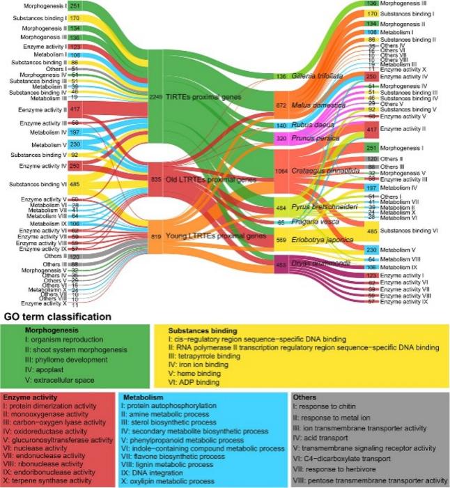 Sankey diagram illustrating th [IMAGE] | EurekAlert! Science News Releases