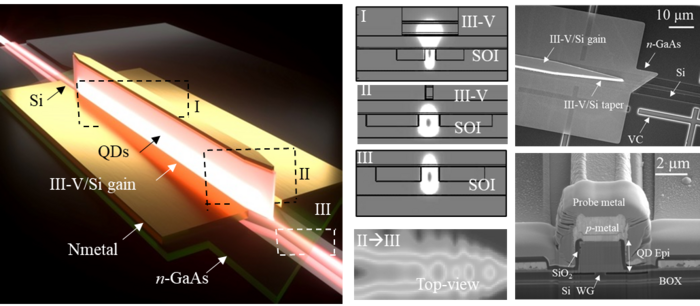 Heterogeneously integrated QD- [IMAGE] | EurekAlert! Science News Releases