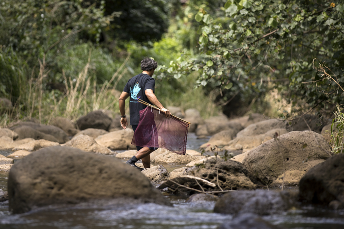 Stream sampling in Waimea Vall [IMAGE] | EurekAlert! Science News Releases