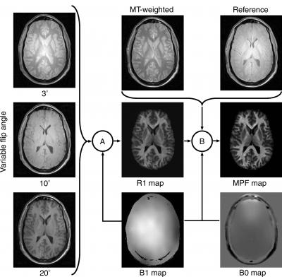 MPF Map [IMAGE] | EurekAlert! Science News Releases