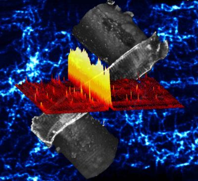 Stretch and Spark of a Beating Heart Cell (5 | EurekAlert!