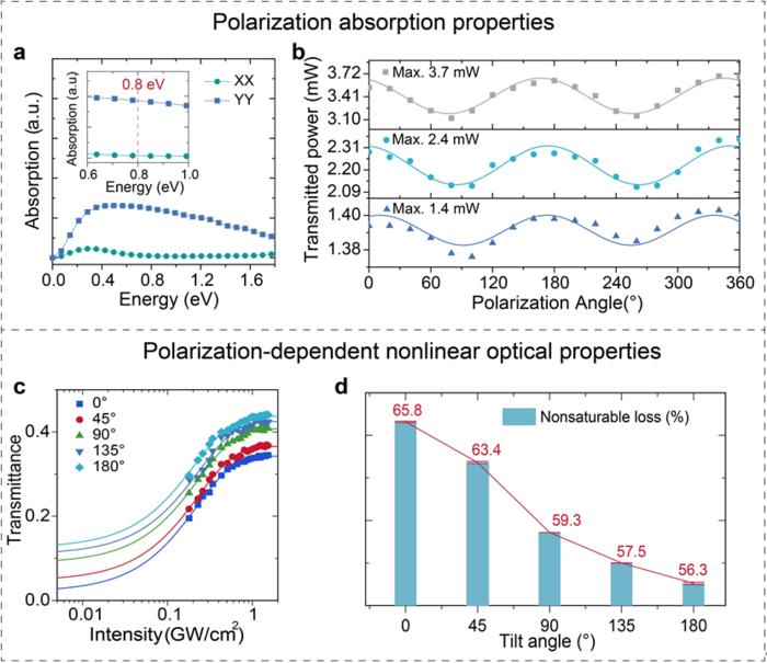 Figure | Polarization-dependen [IMAGE] | EurekAlert! Science News Releases
