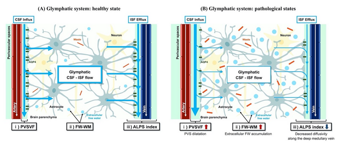 Basic concepts of the proposed [IMAGE] | EurekAlert! Science News Releases