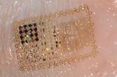 Stretchable Electronic 'Skin' (1 of 9) | EurekAlert!