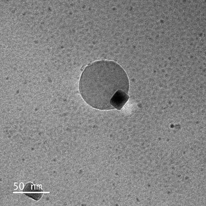 Water bubble [IMAGE] | EurekAlert! Science News Releases