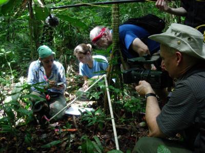 Environmental Science Web Site [IMAGE] | EurekAlert! Science News Releases