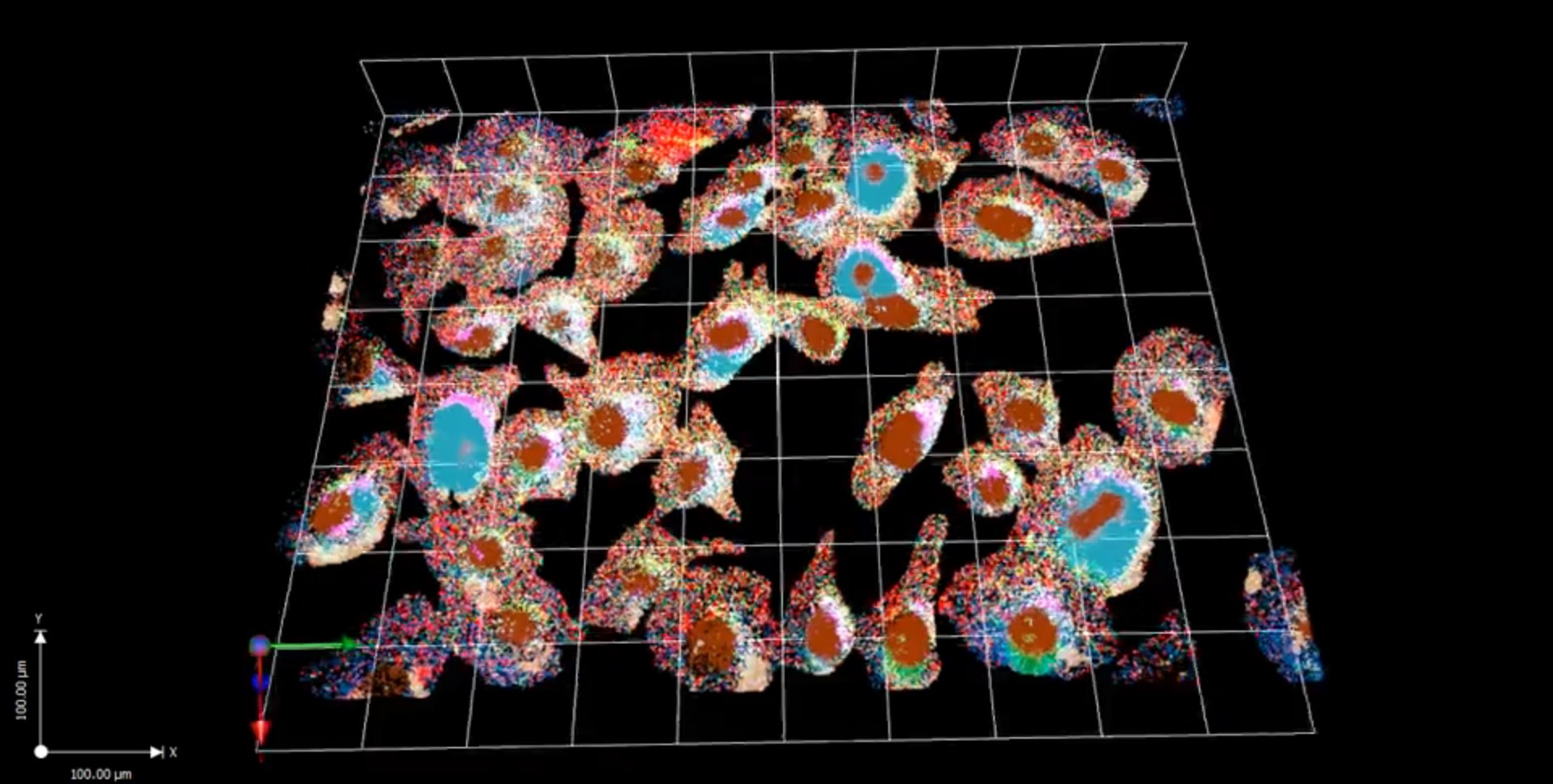 Coskun Lab zooming in on the signals of cance | EurekAlert!