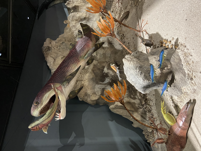 Gogo fish diorama at WA Museum [IMAGE] | EurekAlert! Science News Releases