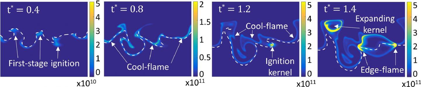 DNS Model [IMAGE] | EurekAlert! Science News Releases