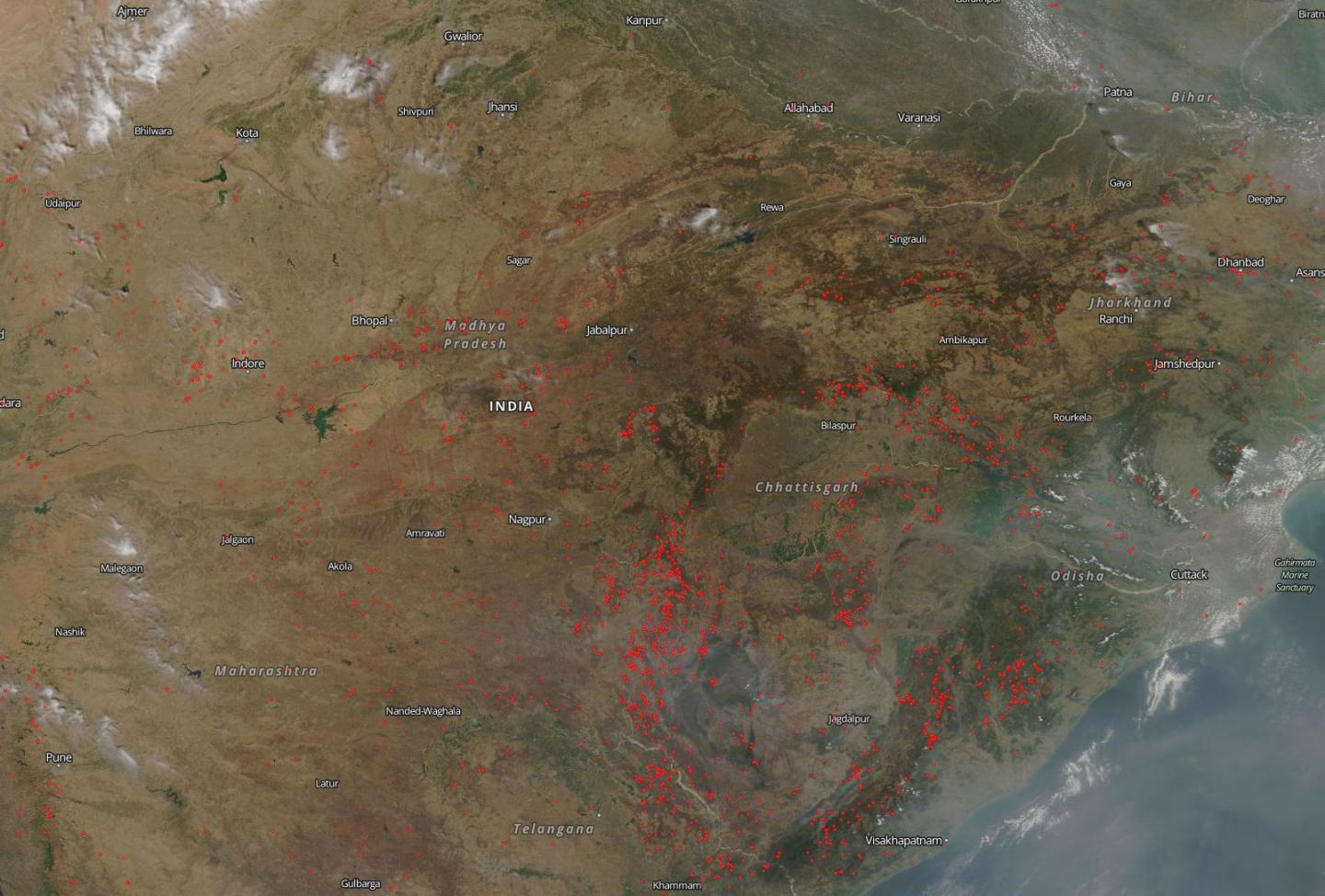 Forest Fires in India Common Before the Monso | EurekAlert!