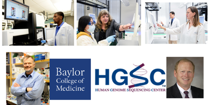 BCM_HGSC logo [IMAGE] | EurekAlert! Science News Releases