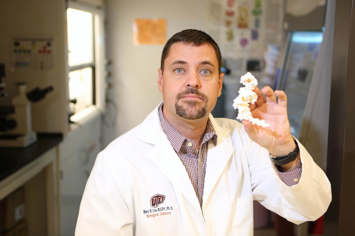 Marc Cox, University of Texas [IMAGE] | EurekAlert! Science News Releases