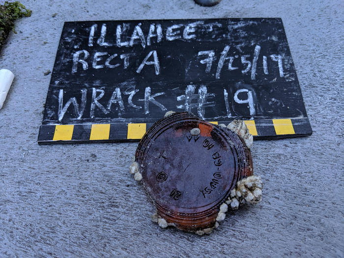 Beach glass with barnacles [IMAGE] | EurekAlert! Science News Releases