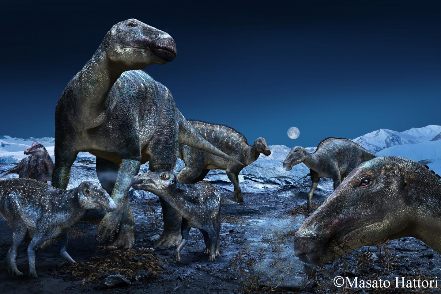 Northern Alaskan Hadrosaurids [IMAGE] | EurekAlert! Science News Releases