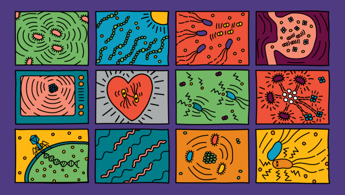 Collage capturing a diverse se [IMAGE] | EurekAlert! Science News Releases