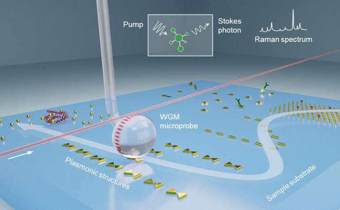 WGM microprobe for molecular d [IMAGE] | EurekAlert! Science News Releases