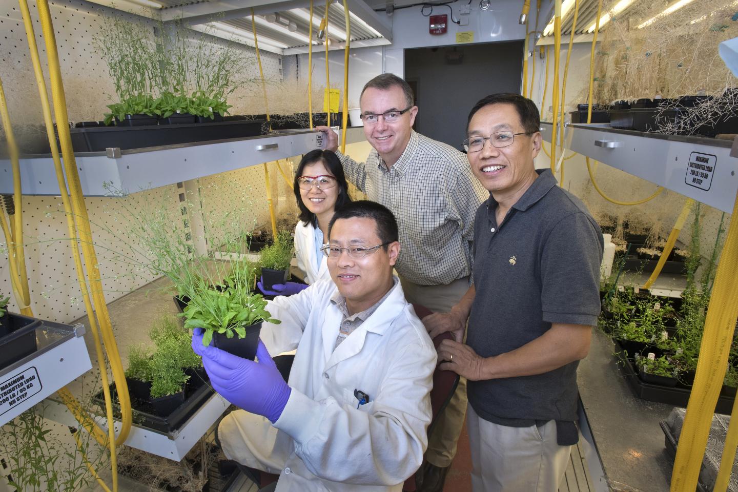 Plant Scientists [IMAGE] | EurekAlert! Science News Releases
