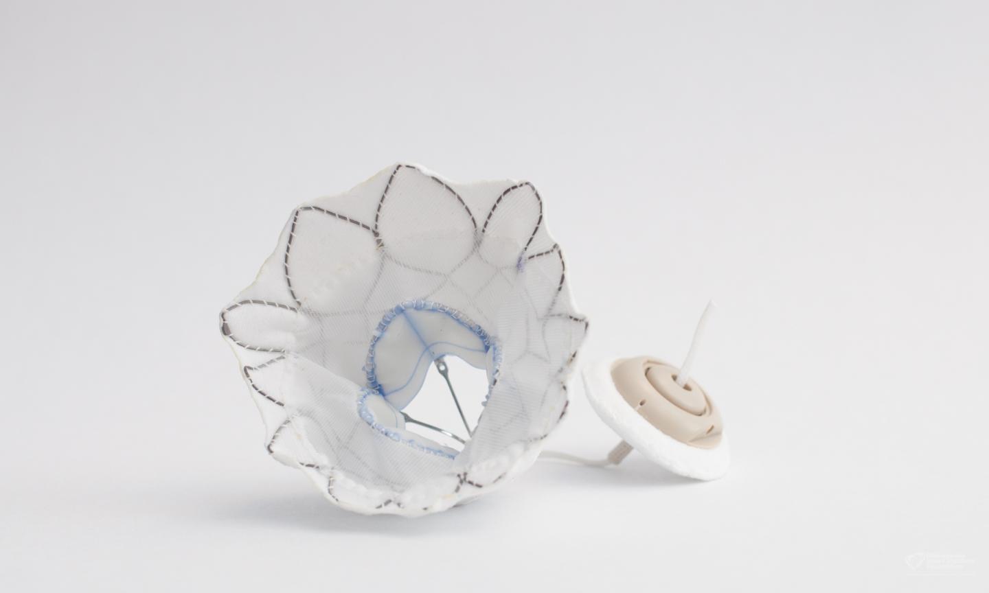 Tendyne TMVR Device [IMAGE] | EurekAlert! Science News Releases