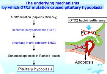 Figure 3 [IMAGE] | EurekAlert! Science News Releases