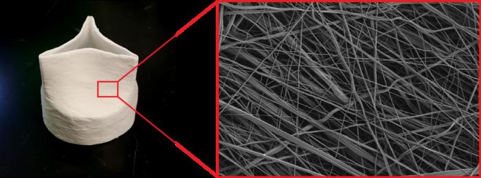 Photo showing the fibrous stru [IMAGE] | EurekAlert! Science News Releases