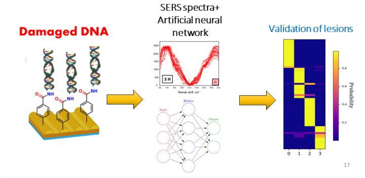 Researchers make neural networks successfully | EurekAlert!