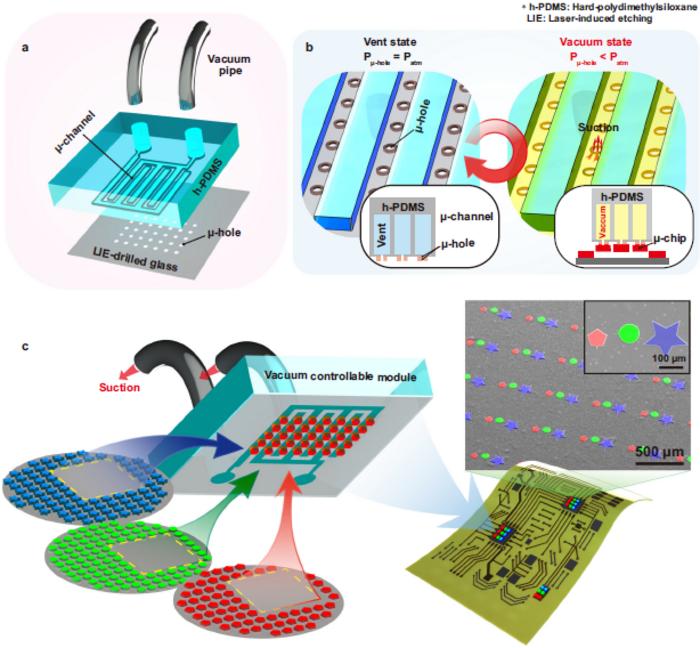 A KAIST team develops selective transfer prin | EurekAlert!