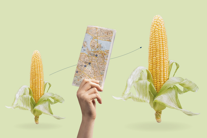 A guide through the genome | EurekAlert!