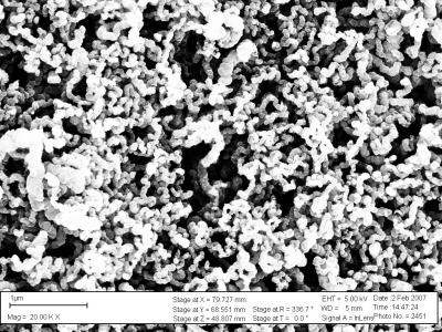 SEM Image [IMAGE] | EurekAlert! Science News Releases