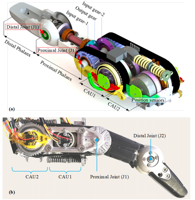 New compact and dexterous robotic finger that | EurekAlert!