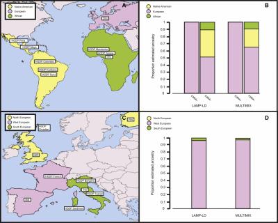 Geographic Origin of the Haplo [IMAGE] | EurekAlert! Science News Releases
