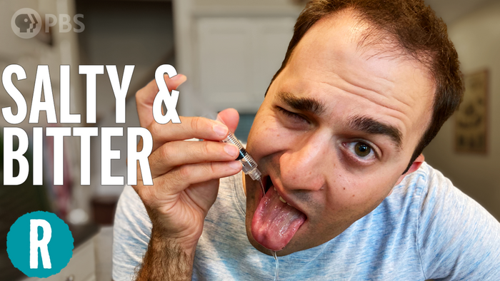 Why does salt change the taste of everything? | EurekAlert!