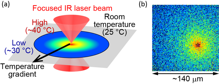 Fig.2 [IMAGE] | EurekAlert! Science News Releases