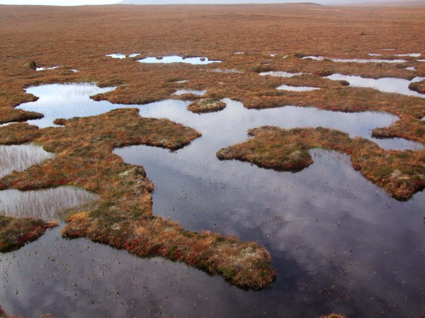 Peatland contributions to UK water security | EurekAlert!