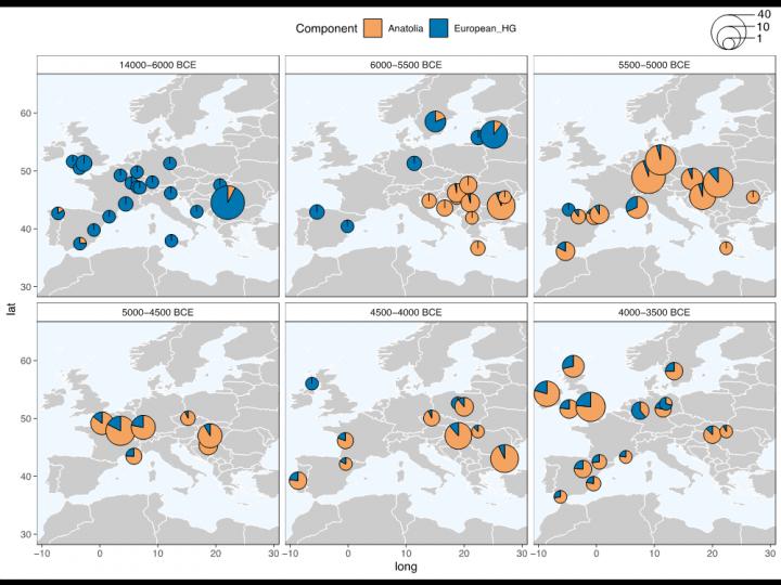 Genetic Components [IMAGE] | EurekAlert! Science News Releases