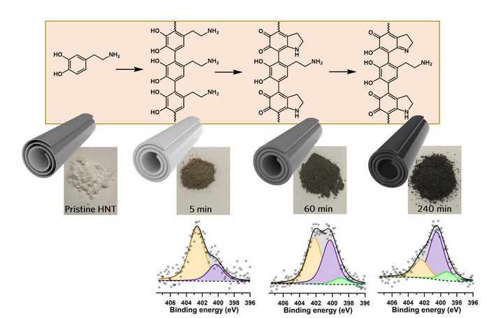 Study of the formation of poly [IMAGE] | EurekAlert! Science News Releases