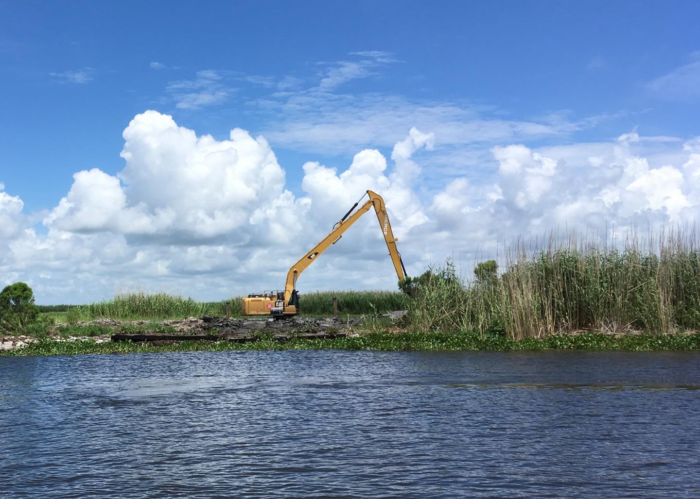 Marsh Restoration [IMAGE] | EurekAlert! Science News Releases