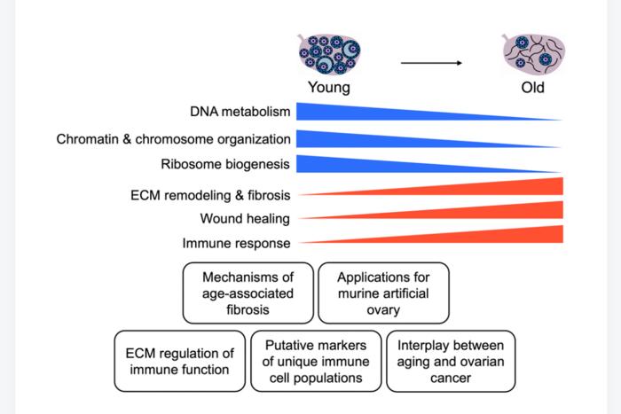 Figure 9 [IMAGE] | EurekAlert! Science News Releases
