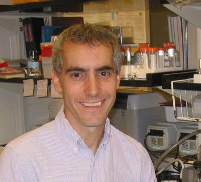 Mark Zylka, University of Nort [IMAGE] | EurekAlert! Science News Releases