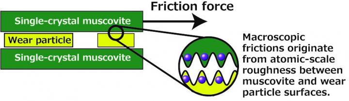Origin of Friction [IMAGE] | EurekAlert! Science News Releases