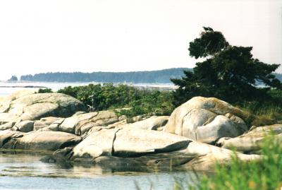 Birch Island | EurekAlert!