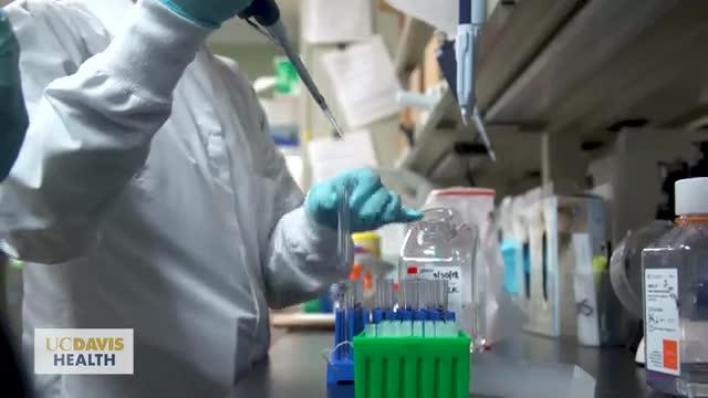 Obesity both feeds tumors and helps immunothe | EurekAlert!